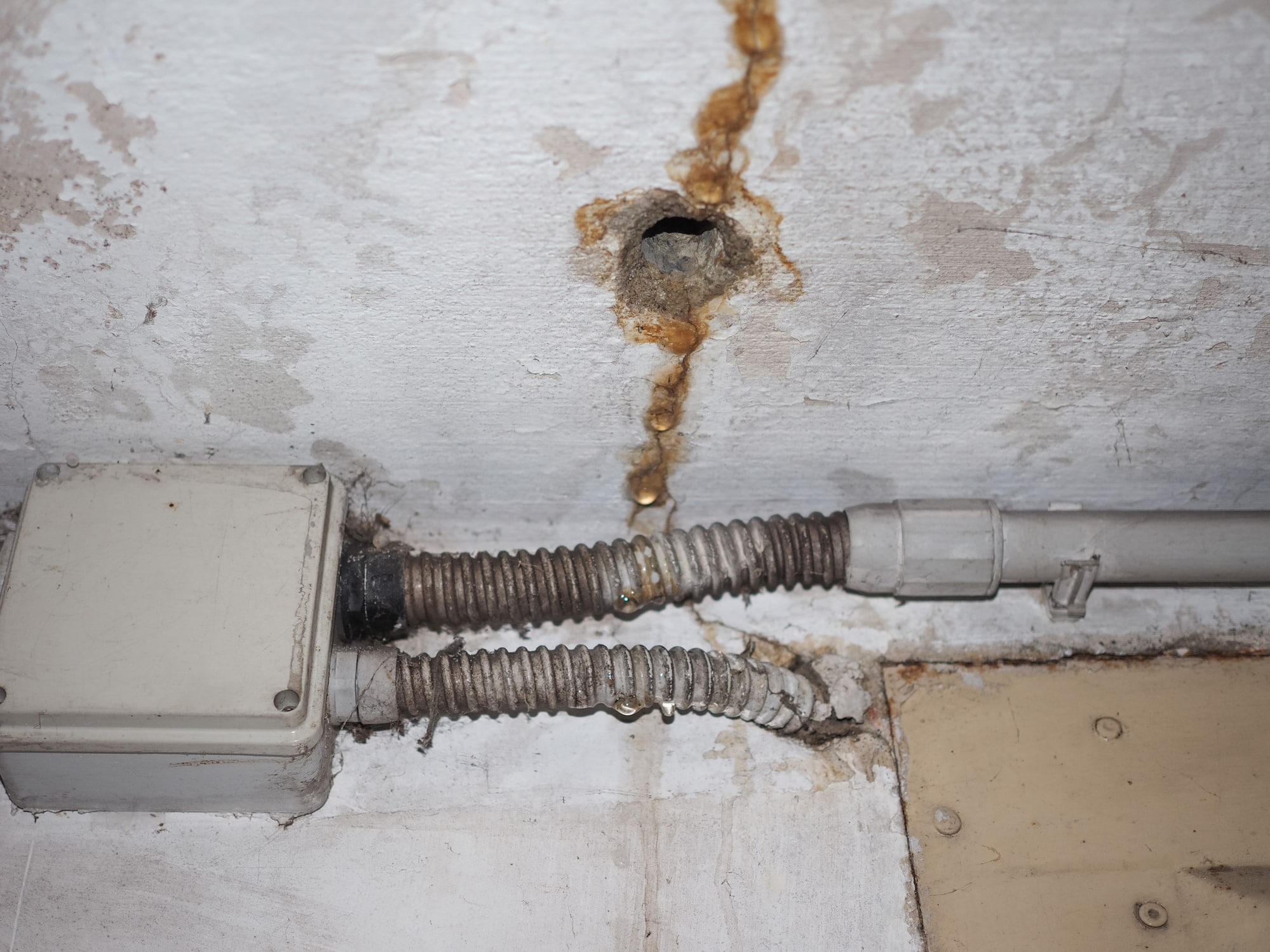 Signs You May Need a Professional Water Leak Detection Service ...